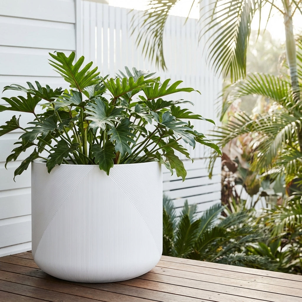 White Gavin Planter - Various sizes available | Buy Online Australia ...